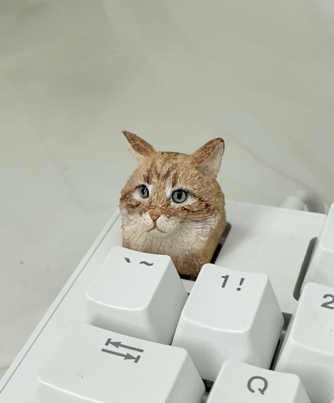This white block turns into a cat keycap - Custom keyboards - KeebTalk