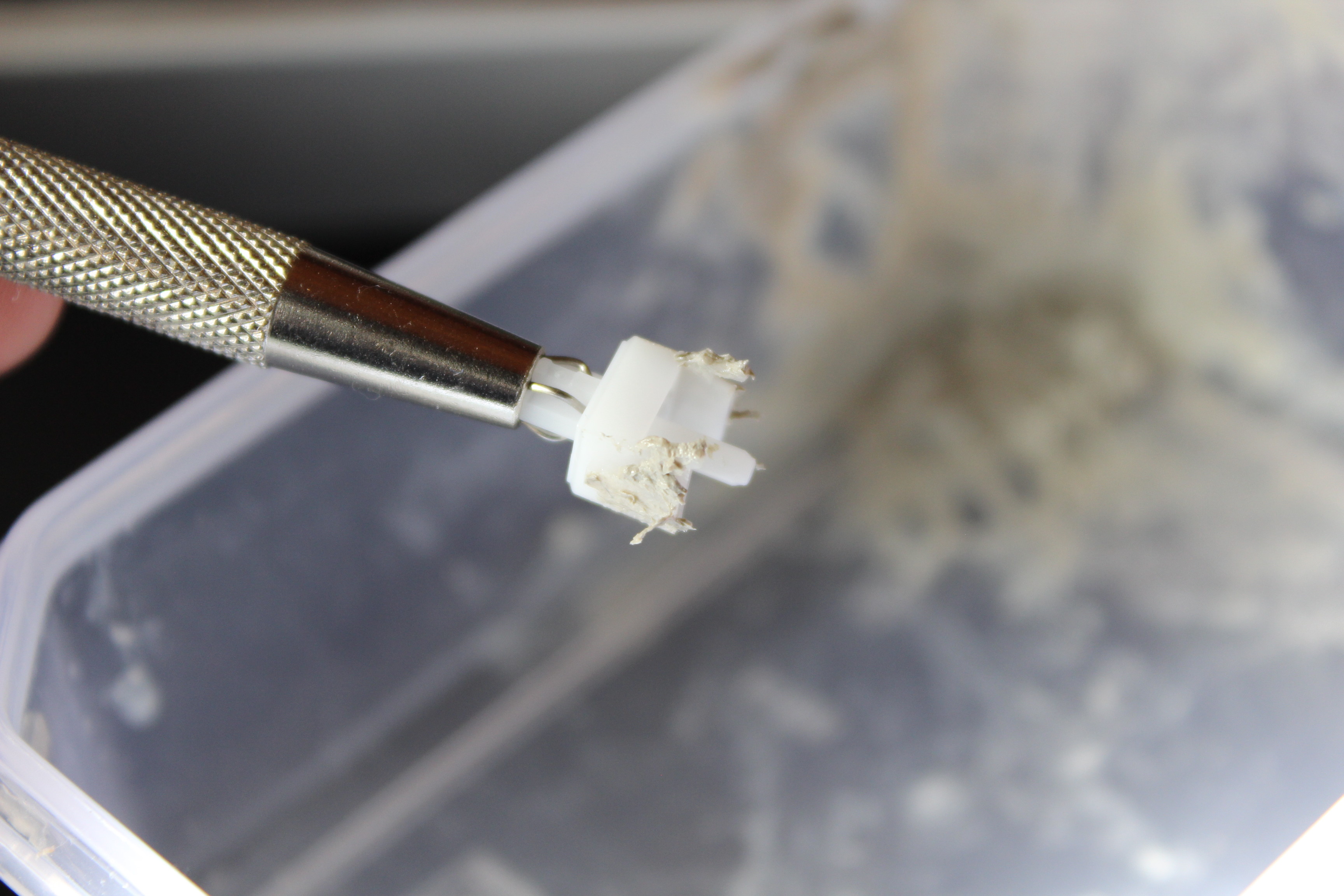 Using diamond paste to polish switches - #260 by donpark - Key switches ...